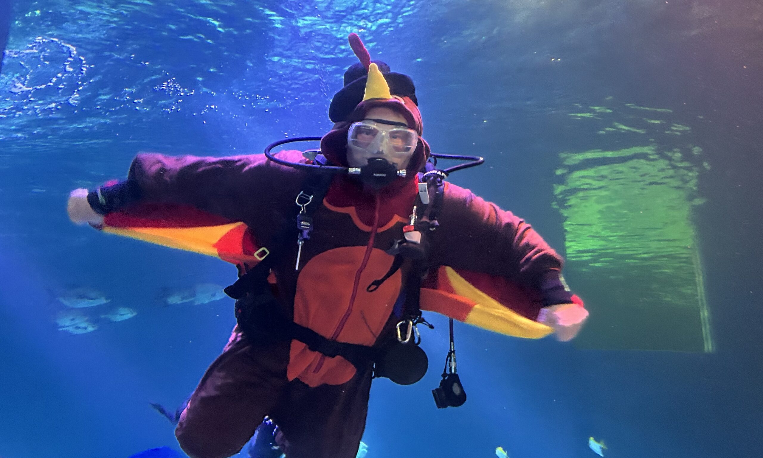 Scuba turkey makes a splash in holiday dive at Sea Life New Jersey ...