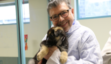 NJ Senate approves Bucco, Beach bill creating therapy dog pilot program ...