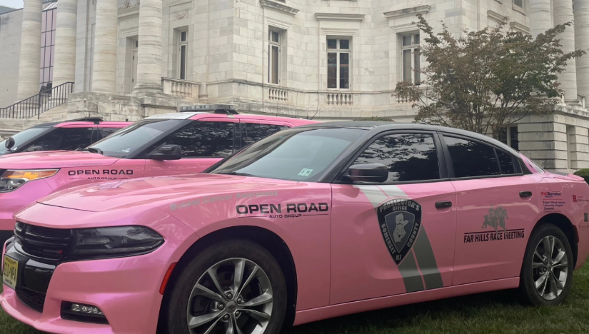 Somerset County police departments unveil pink patrol cars for Breast ...
