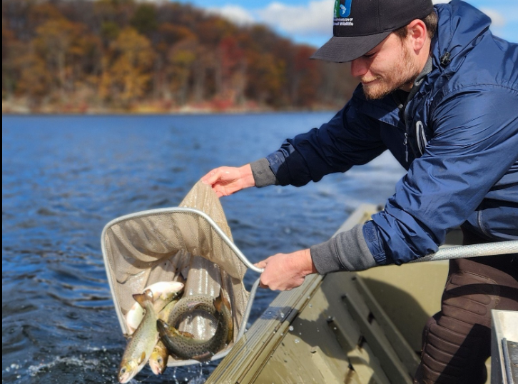 Landlocked Atlantic Salmon stocked in four New Jersey waterbodies ...