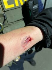 Morris County man charged with assaulting ICE officers during protest ...